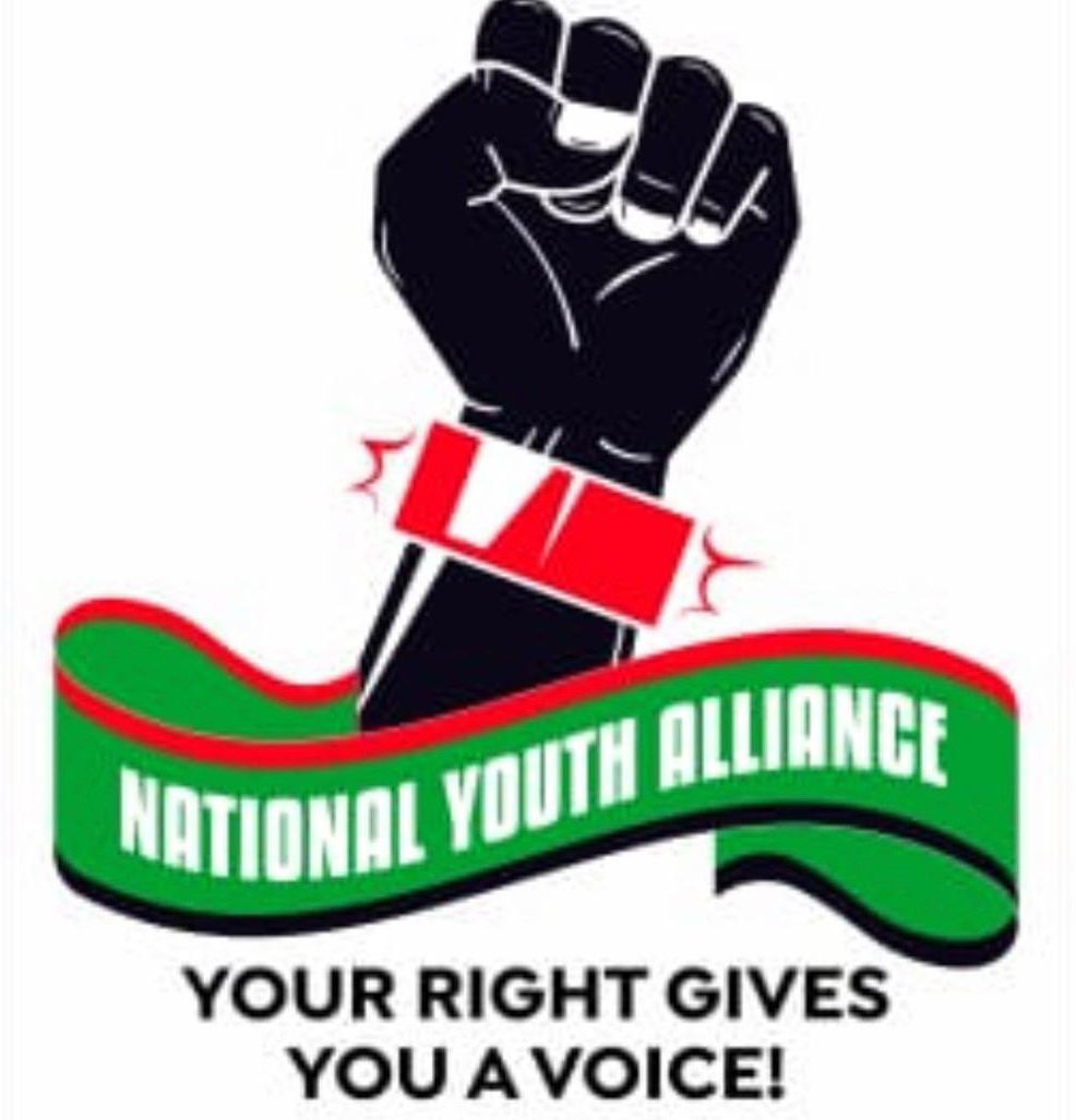 2027 Polls: National Youth Alliance Names Interim Executive Committee